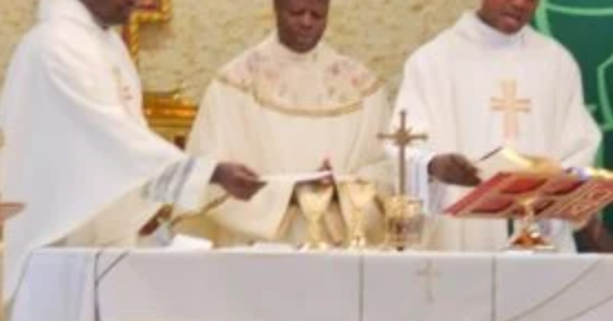 Nigerian Catholic Priest prays for 'gallant soldiers of Christ' | Pulse ...