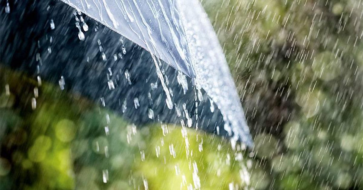 Enugu records first rain in 2019, relief from heat wave | Pulse Nigeria