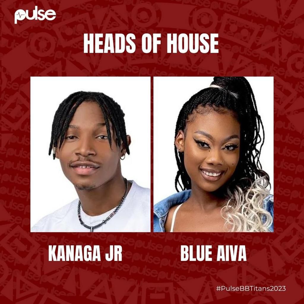 'BBTitans': Kanaga and Blue Aiva are the new Heads of House | Pulse Nigeria