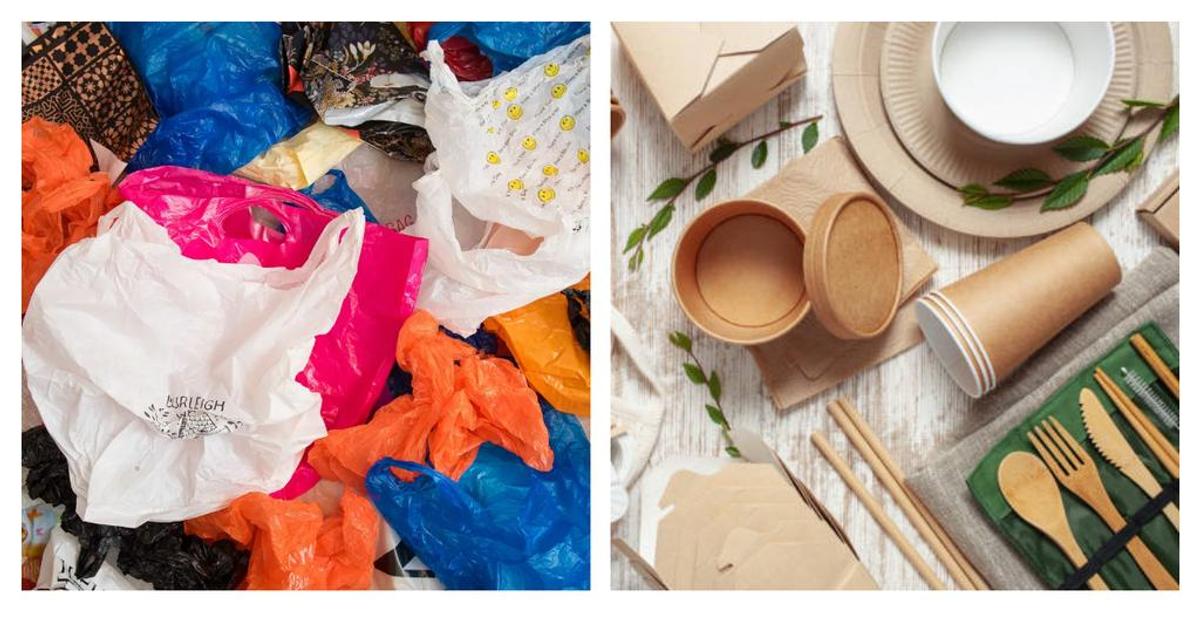 How long it takes for common household items to decompose and how to ...