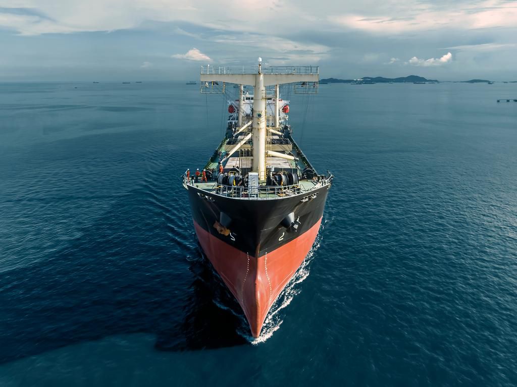 Black Sea Deal: Nigeria expecting 25,000 tonnes of grain from Ukraine ...