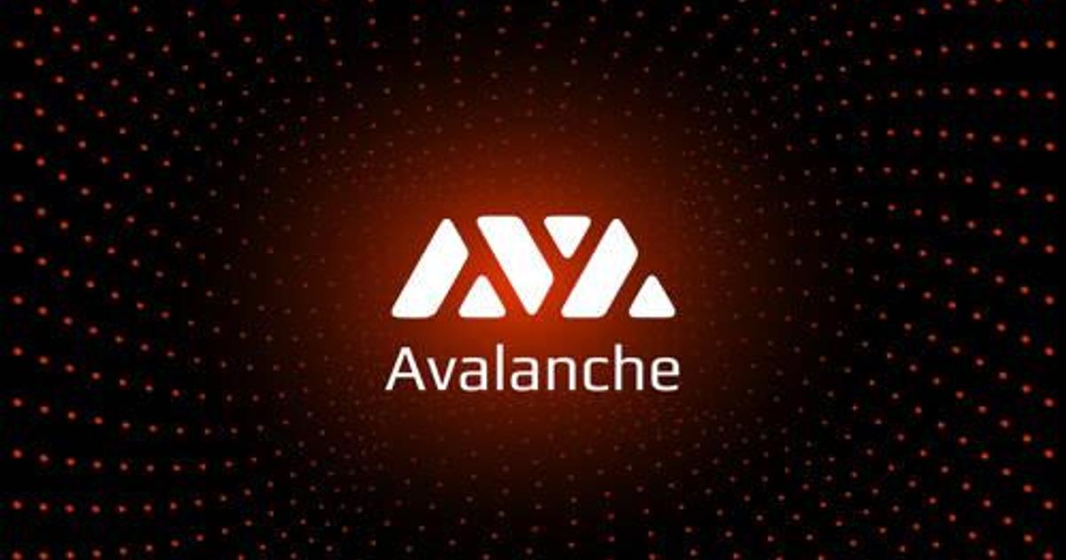 An introduction to real-world Avalanche applications | Pulse Nigeria