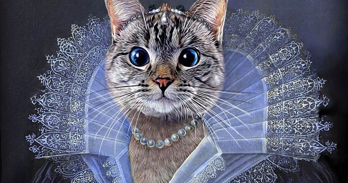 Meet Nala, the richest cat in the world with a net worth of over $100m ...