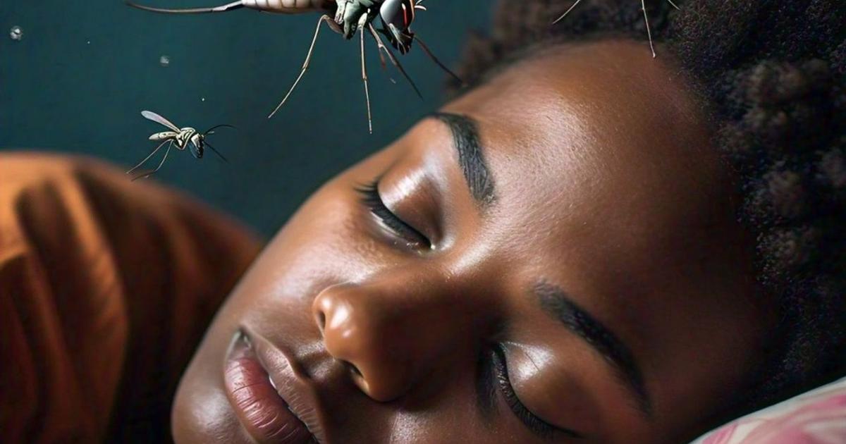 Why mosquitoes make buzzing noises in our ears at night | Pulse Nigeria