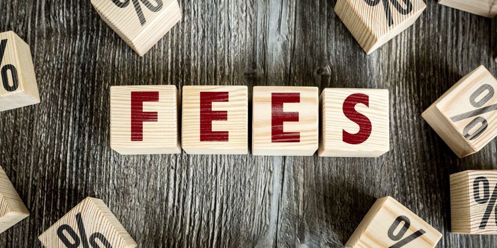 Types of Performance Fee Structures: Navigating the options | Pulse Nigeria