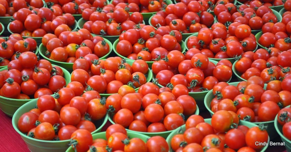 Tomato Price Hike: An entrance of new alternatives | Pulse Nigeria