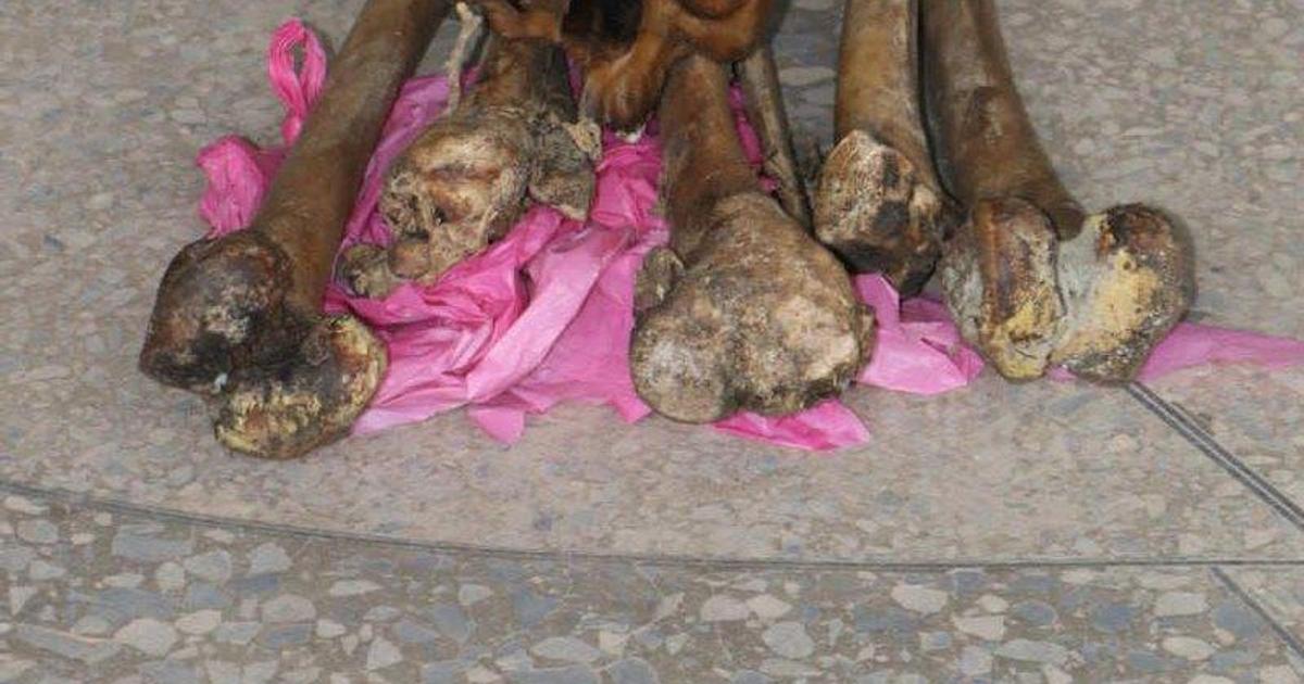 I planned to sell them for ₦600k - Man caught with human skull, bones ...