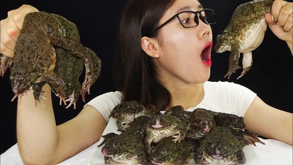 7 animals people eat alive | Pulse Nigeria