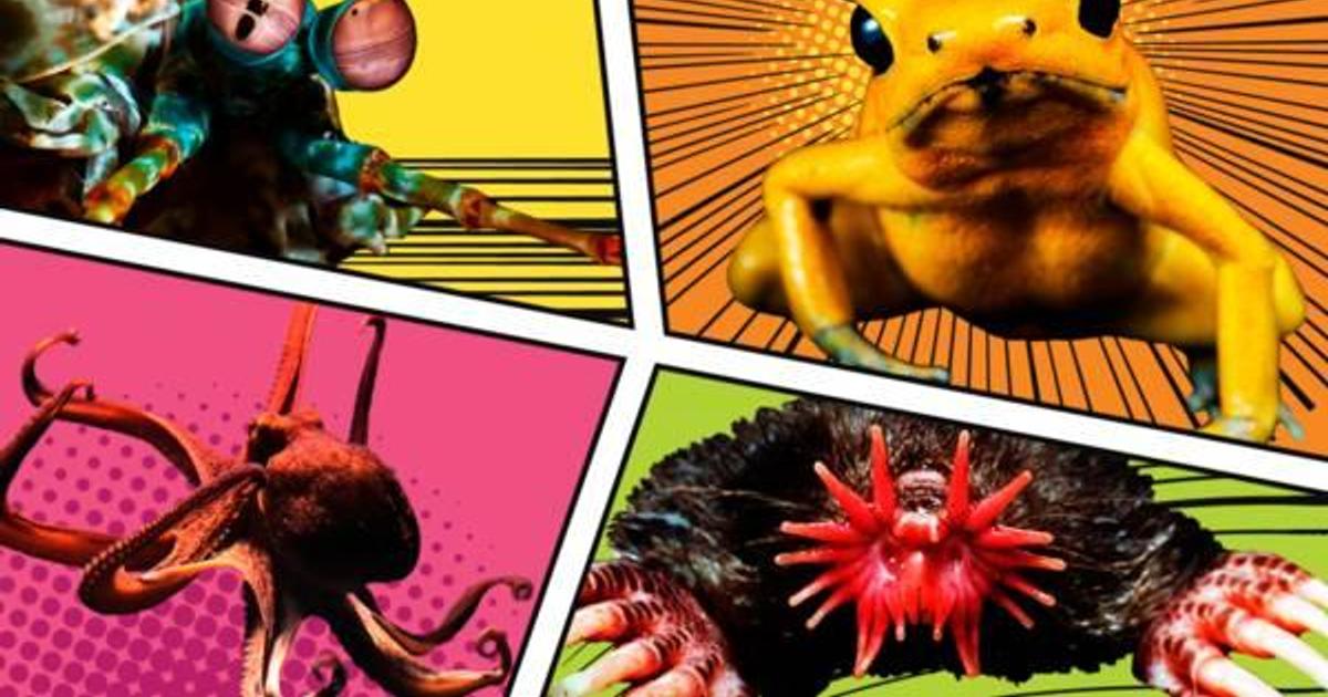 10 extraordinary animals with real 'superpowers' | Pulse Nigeria