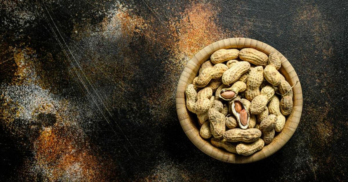 Can eating groundnuts boost your sperm count? What to know | Pulse Nigeria