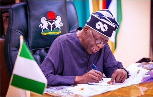 Tinubu’s national single window project gains momentum as Customs, FIRS synergise | Pulse Nigeria