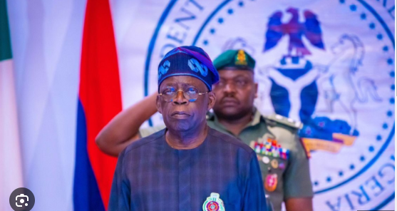 Tinubu is not afraid to make tough decisions even if they bring hardship | Pulse Nigeria