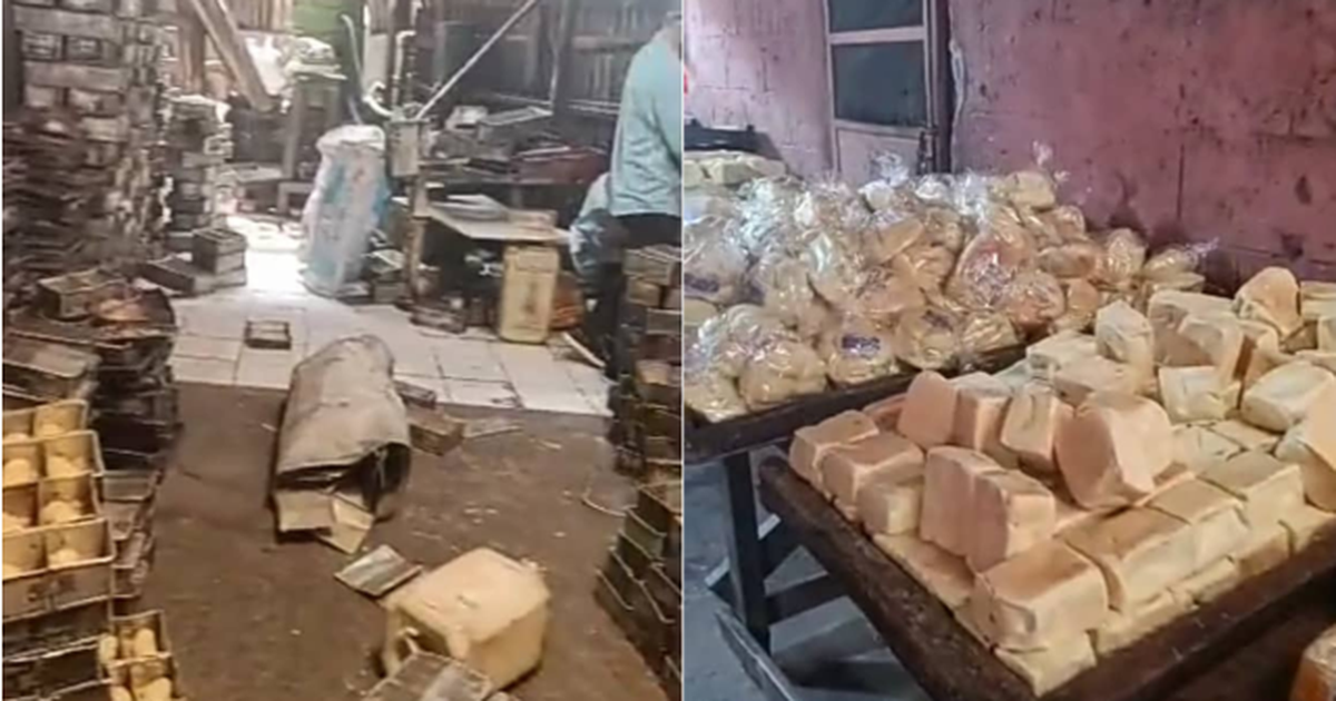 NAFDAC shuts down bakery using saccharine to bake bread for Sokoto residents | Pulse Nigeria