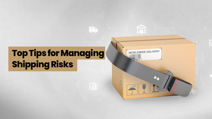 Top tips for managing shipping risks | Pulse Nigeria