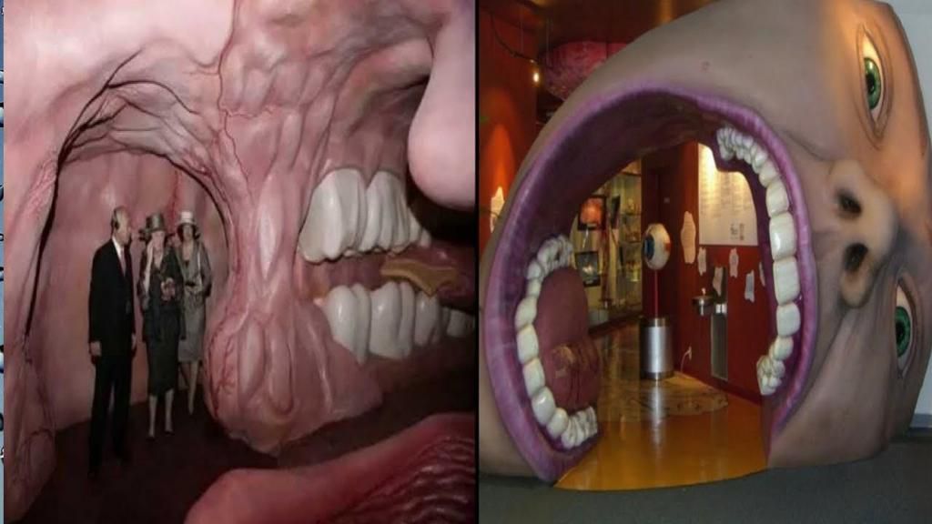 What to know about the Corpus Museum where you 'journey through the ...