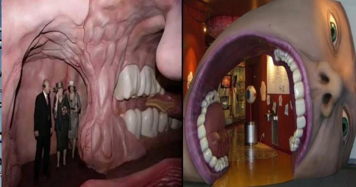 What to know about the Corpus Museum where you 'journey through the ...