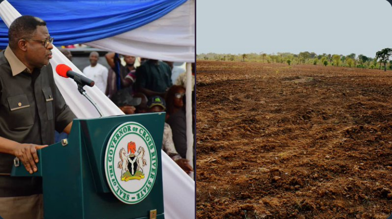 Gov Otu inaugurates 50,000-hectare rice farm in Cross River | Pulse Nigeria
