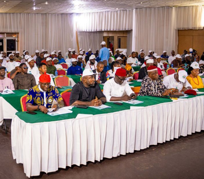 It's Rivers State's turn to produce Ohanaeze President General - Igbo youths | Pulse Nigeria