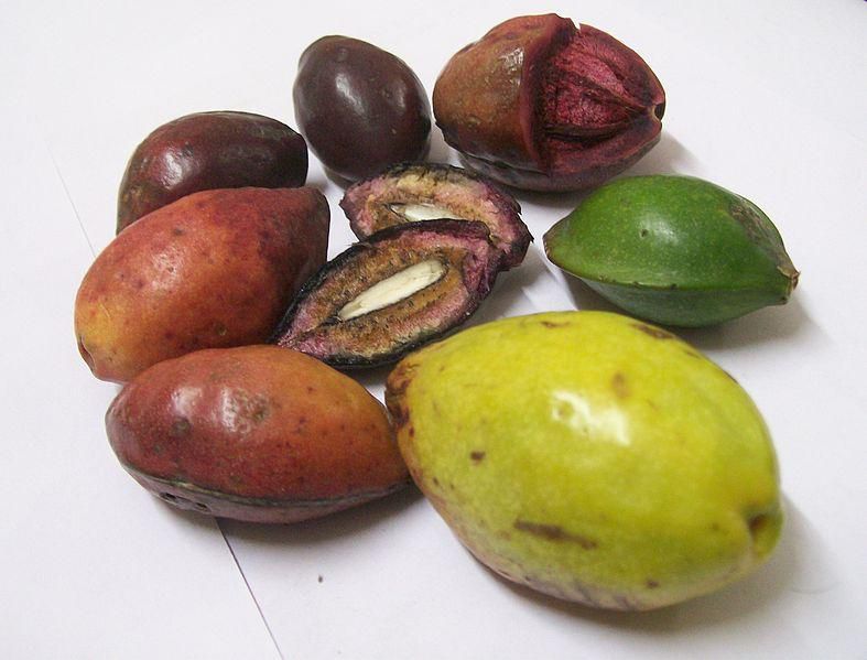 You probably didn't know the names of these popular Nigerian fruits ...