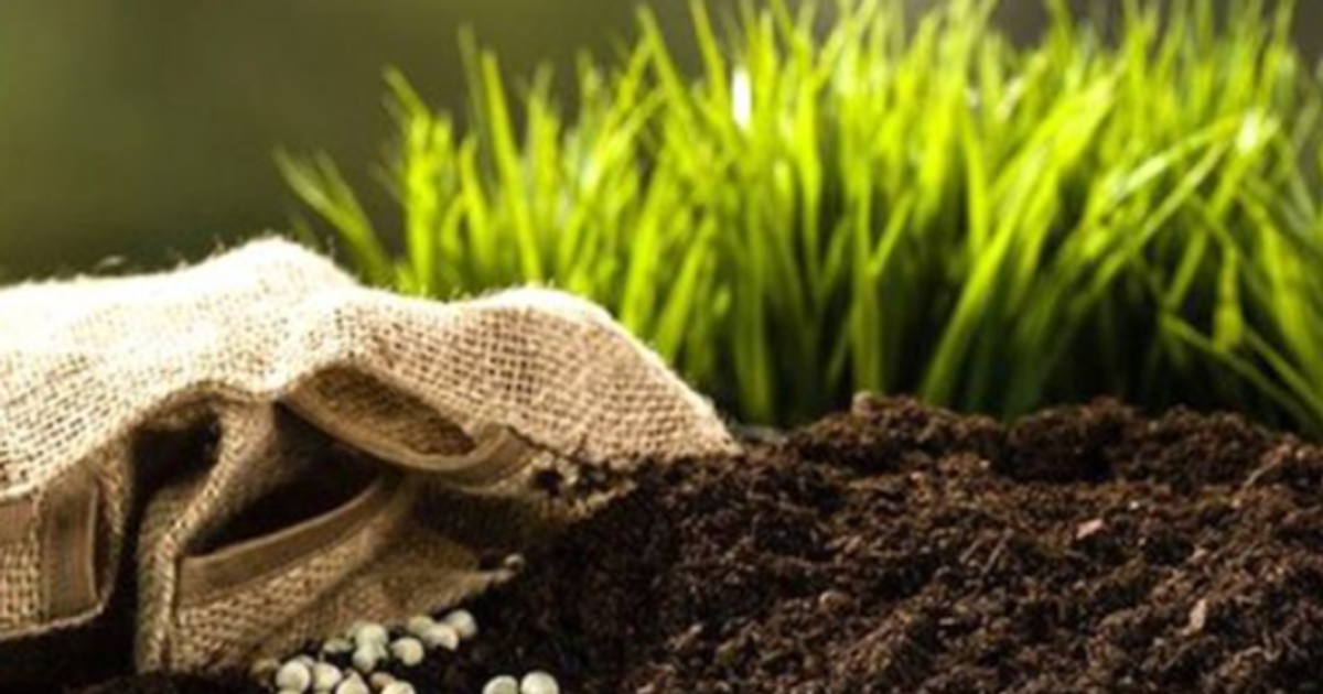 Campagne agricole 2024-2025 : Les ICS offrent 77.203T d’engrais et 17 ...