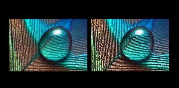 Le Camera Master PHANTOM X capture les moments extraordinaires de la ...