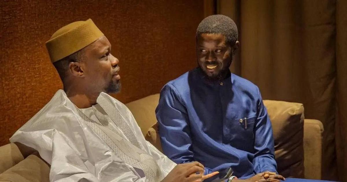 Si Diomaye démissionne, Sonko peut-il être candidat ? Voici ce que dit ...