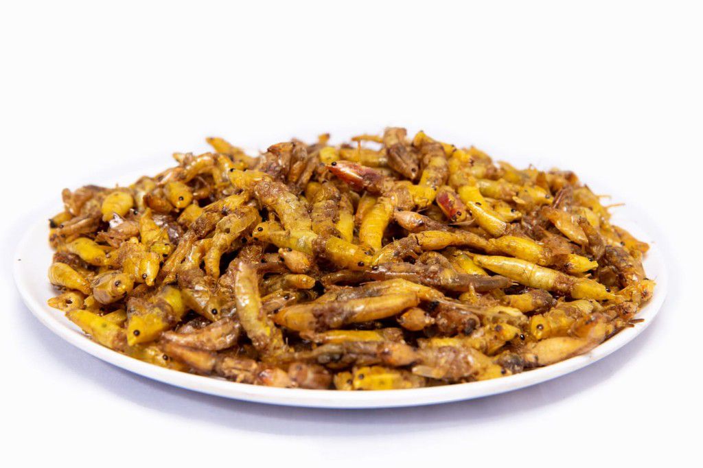 Nsenene more nutritious than chicken | Pulse Uganda