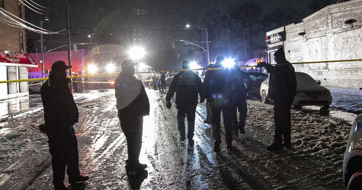 New York City police officer shot dead in Queens armed robbery | Pulse ...