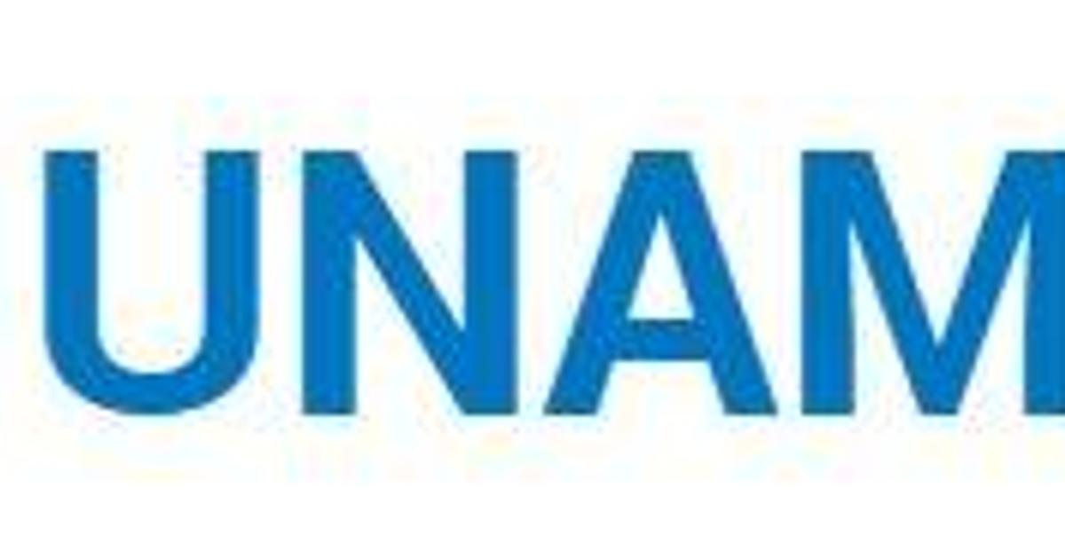 The African Union – United Nations Hybrid Operation in Darfur (UNAMID ...