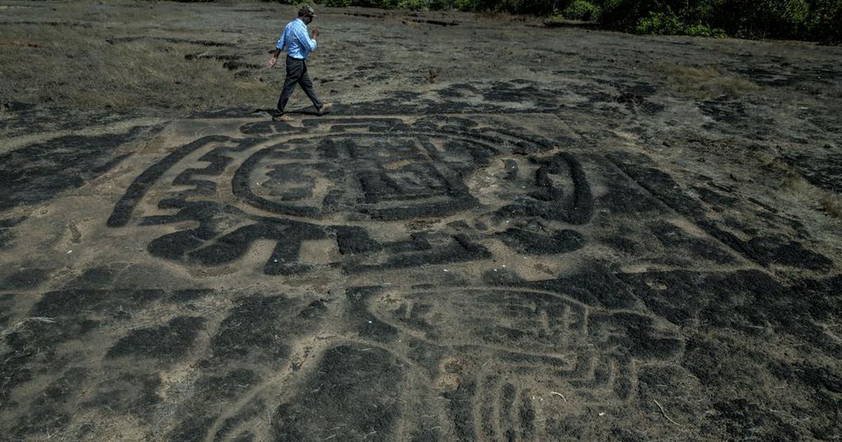 Ancient rock art in the plains of India | Pulse Uganda