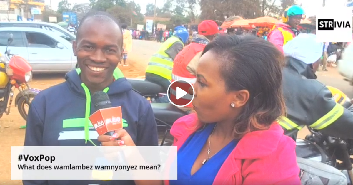 Strivia- What does wamlambez & wamnyonyez mean? | Pulse Uganda