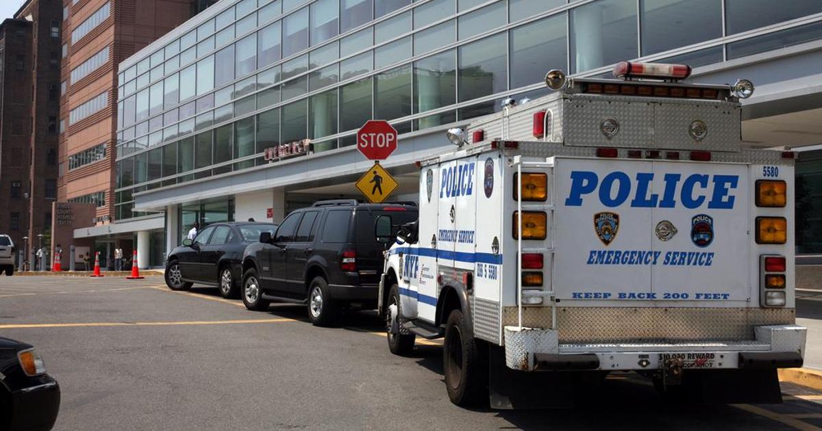 A Fake Psychologist Treated Troubled Children, Prosecutors Say | Pulse ...