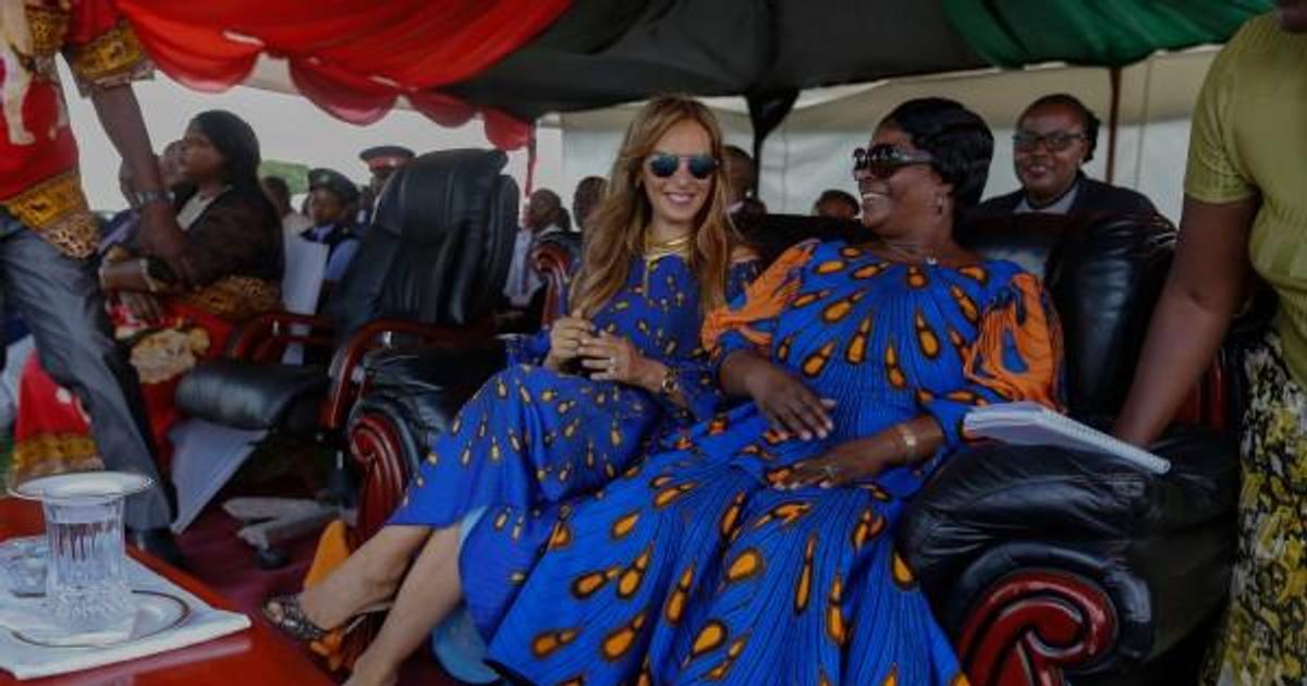 Merck Foundation meets the Head of State and the First Lady of Zambia ...