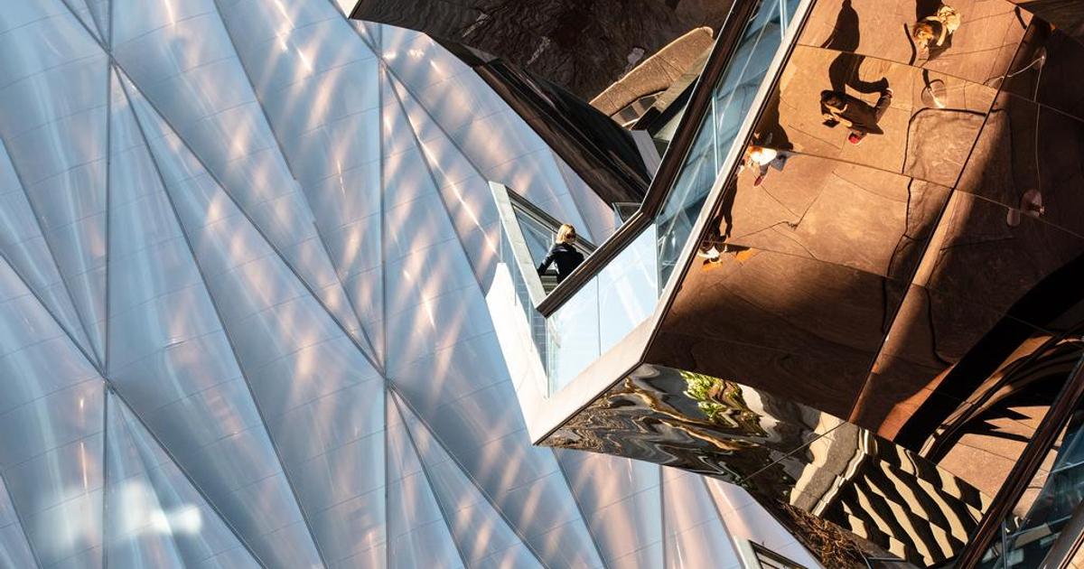 A Guide to the Shed | Pulse Uganda