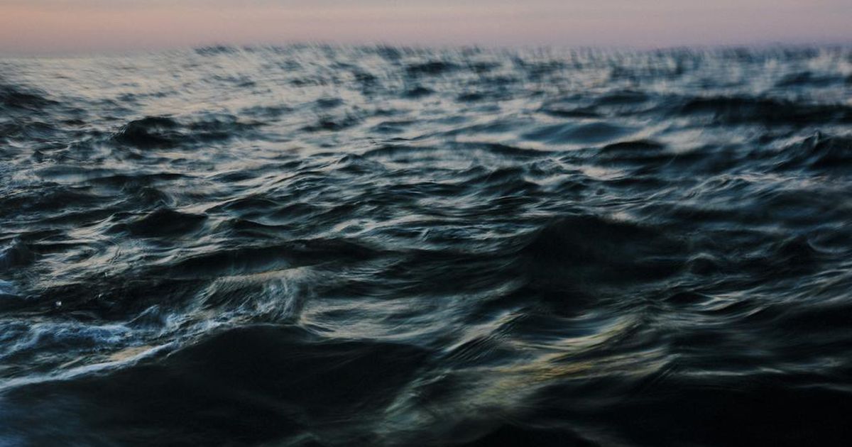 'Shark!': Cape Cod Recoils in a Summer of Sightings, Real and Imagined ...