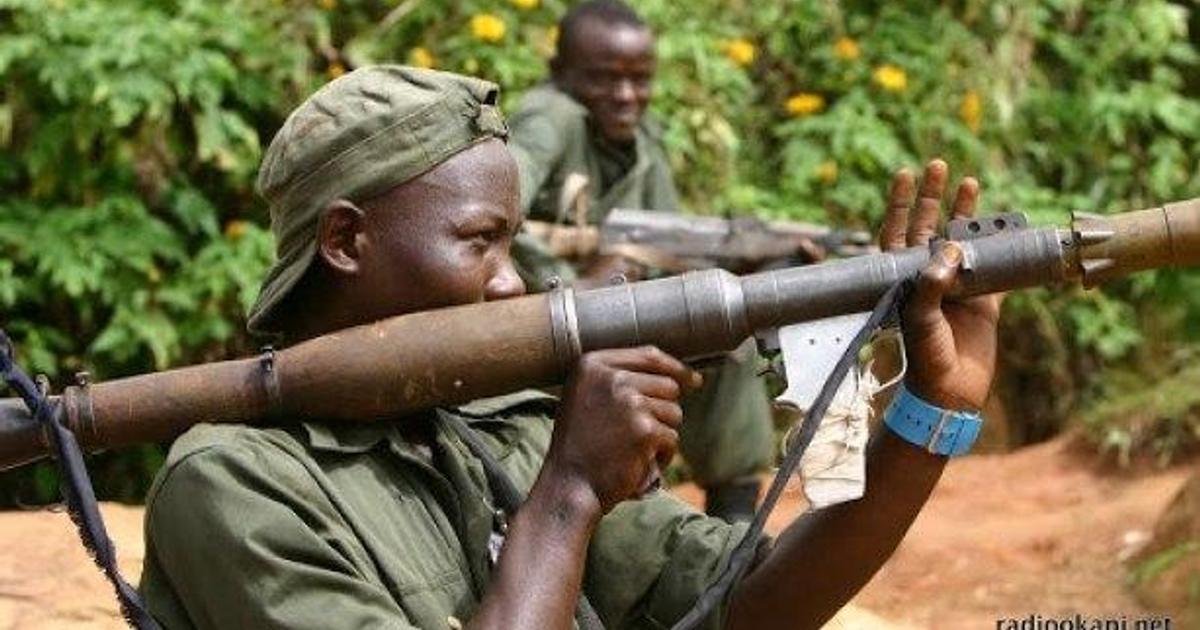 Suspected Ugandan rebel group ADF kills 17 people in Beni | Pulse Uganda