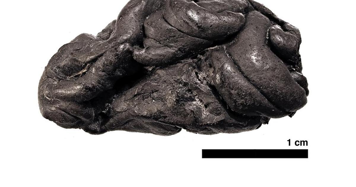 What a 5,700-Year-Old Wad of Chewed Gum Reveals About Ancient People ...