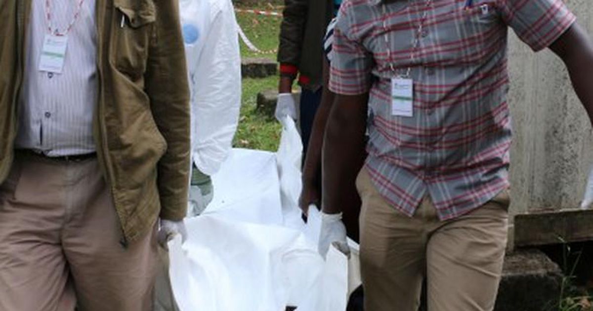 Brutal murder of 12-year-old leads DCI to conduct intense search for ...