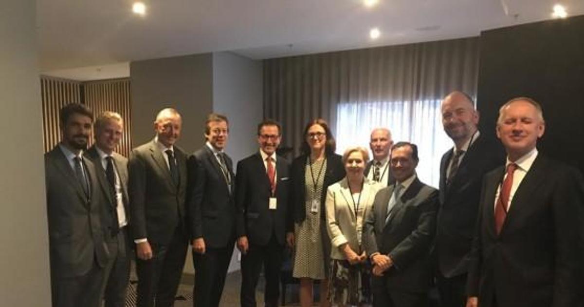 The first meeting of the European Union (EU) – Southern African ...