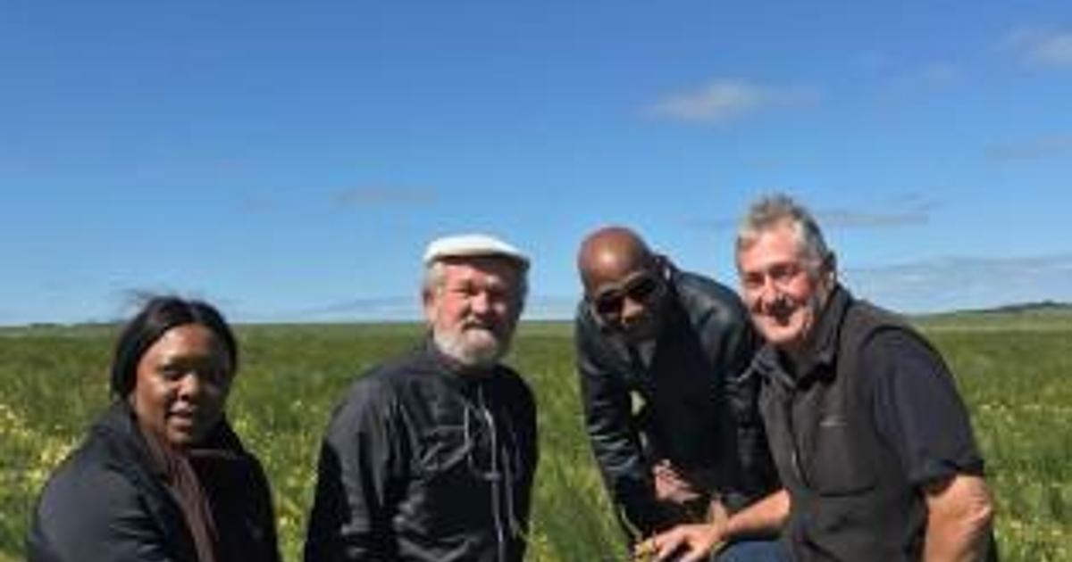 The scientific breakthrough that could turn Australia's arid land into ...