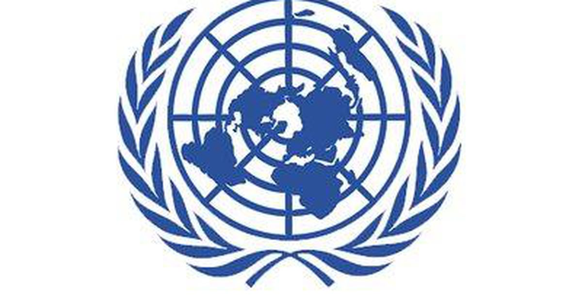 Terrorism survivors: Forced to farm, fish, fight, ‘they slaughtered ...