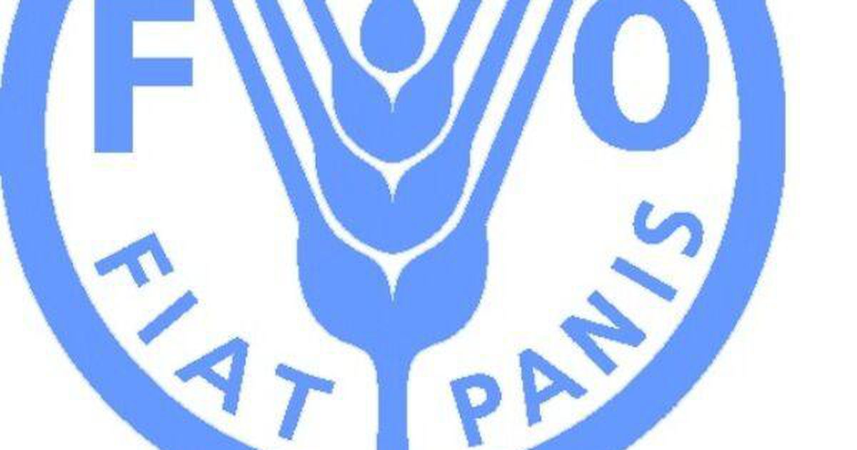 Ghana women farmers partner to build a soap making business | Pulse Uganda