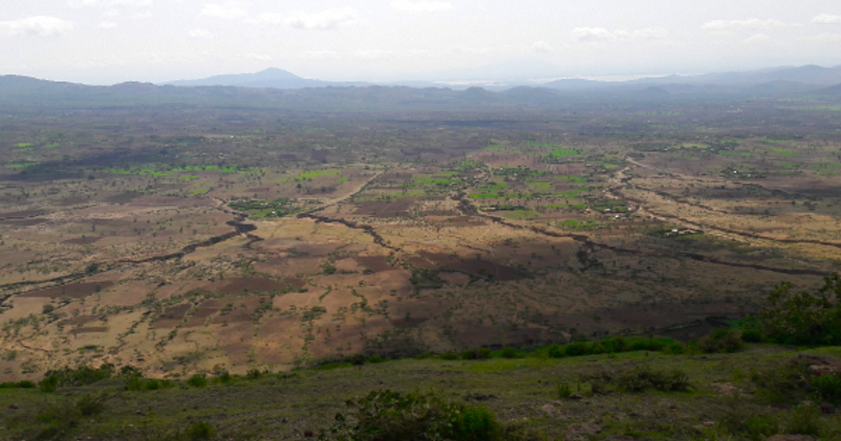 Siemens Gamesa seals its first wind farm project in Ethiopia, expanding ...