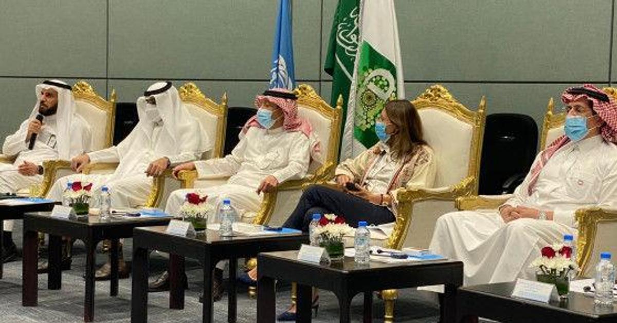 The Role of Awqaf in the Vision 2030 and SDGs in the Kingdom of Saudi ...