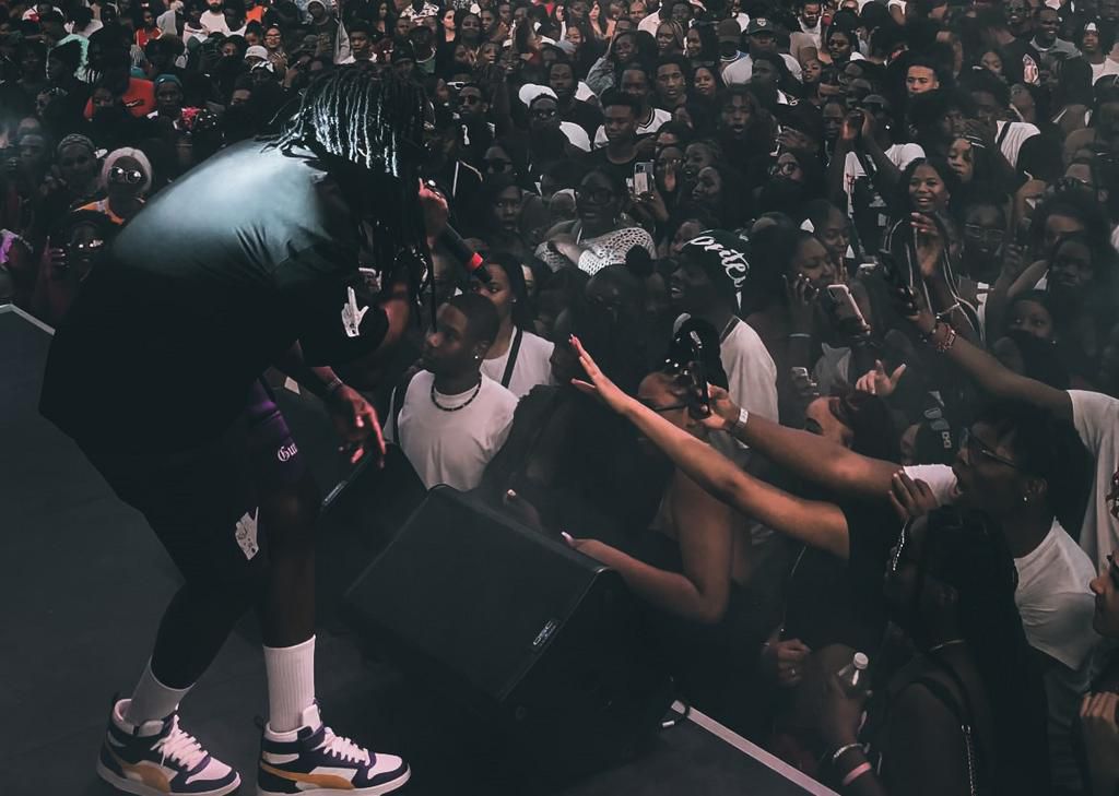 Beenie Gunter, African stars light up Toronto's Afro-Fest | Pulse Uganda