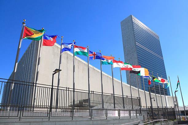 Government of Uganda ends UN human rights office mandate | Pulse Uganda