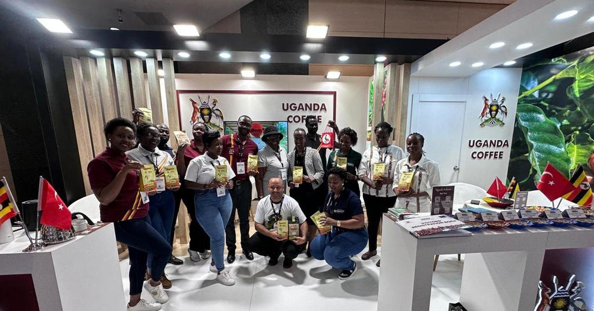 Uganda's coffee exports to Turkey soar | Pulse Uganda