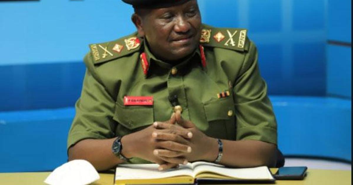 Uganda, Congo army raid leaves 20 ADF rebels dead | Pulse Uganda