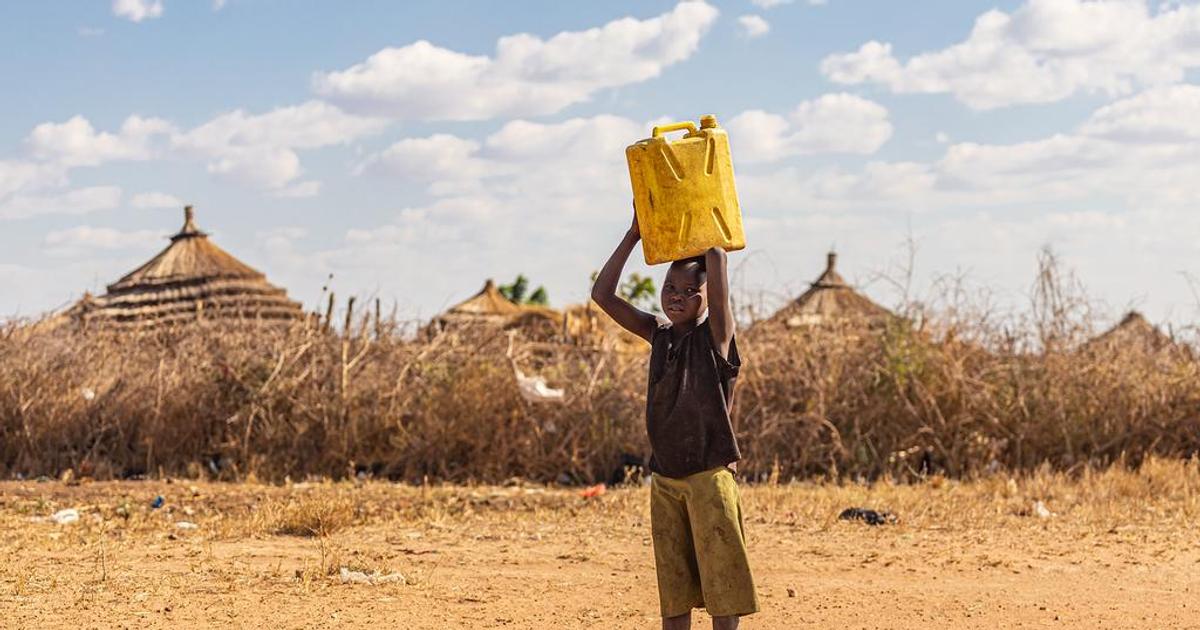 10 million Ugandans have no food – UN report | Pulse Uganda