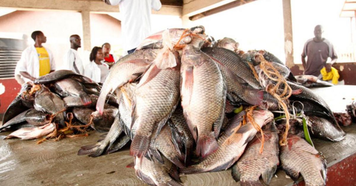 Government targets to raise over $6b from 13 exports | Pulse Uganda